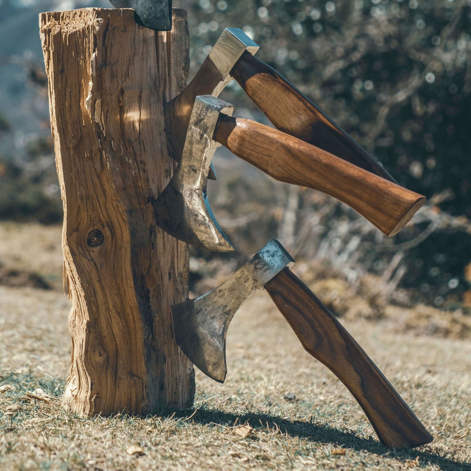 RagnarHawk Viking Throwing Battle Axe – Vikinghawks